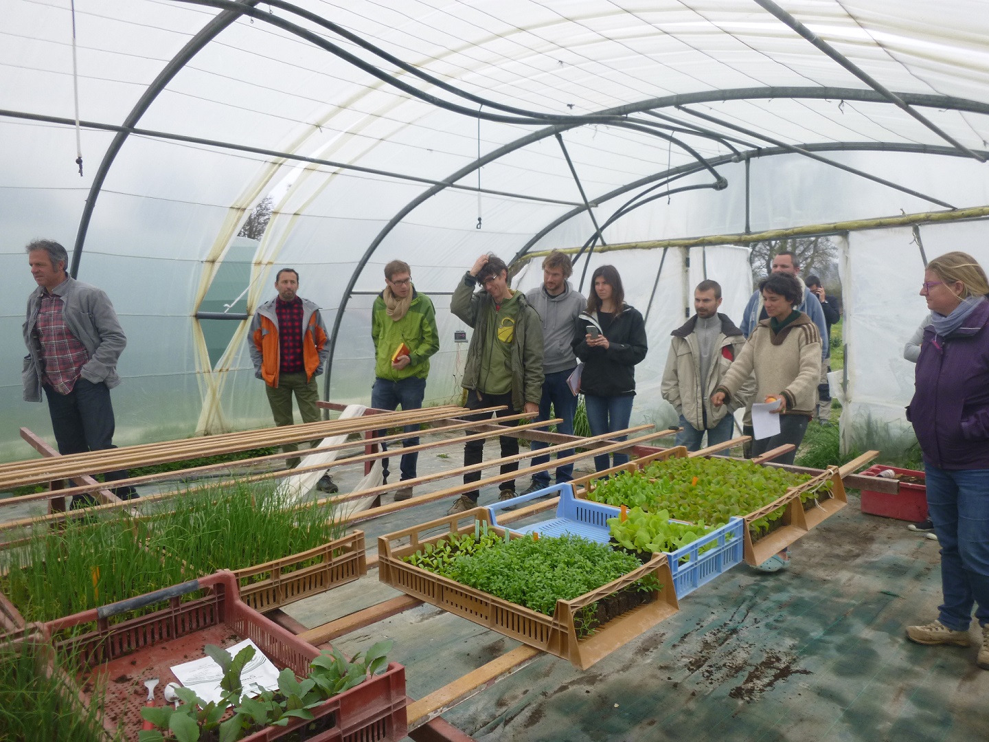 Retour sur la formation « Production de plants maraîchers biologiques ...