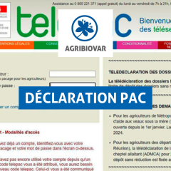 Déclaration PAC 2025 - Les agriculteurs Bio de PACA